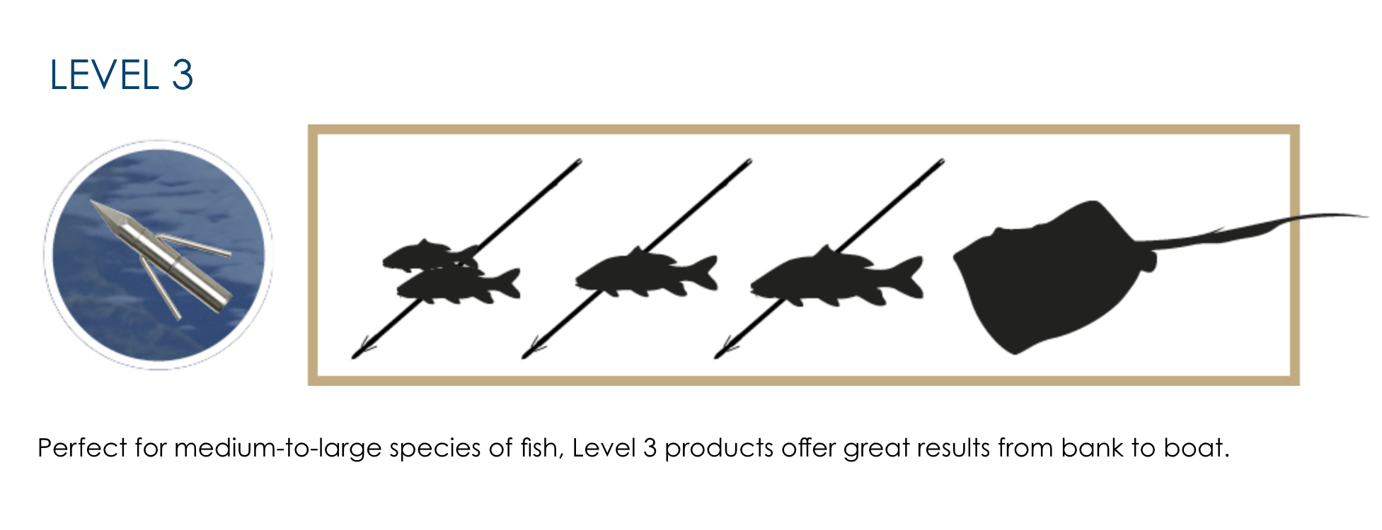 How to Choose the Right Bowfishing Point | Fin-Finder