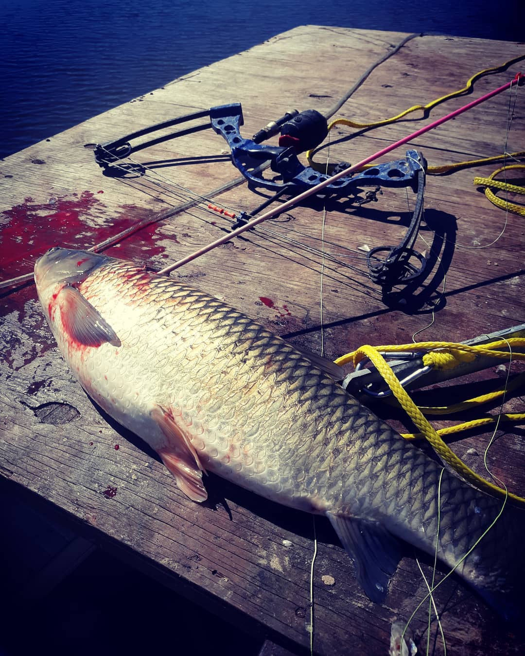 How to Clean Your Rig After a Season of Use | Fin-Finder